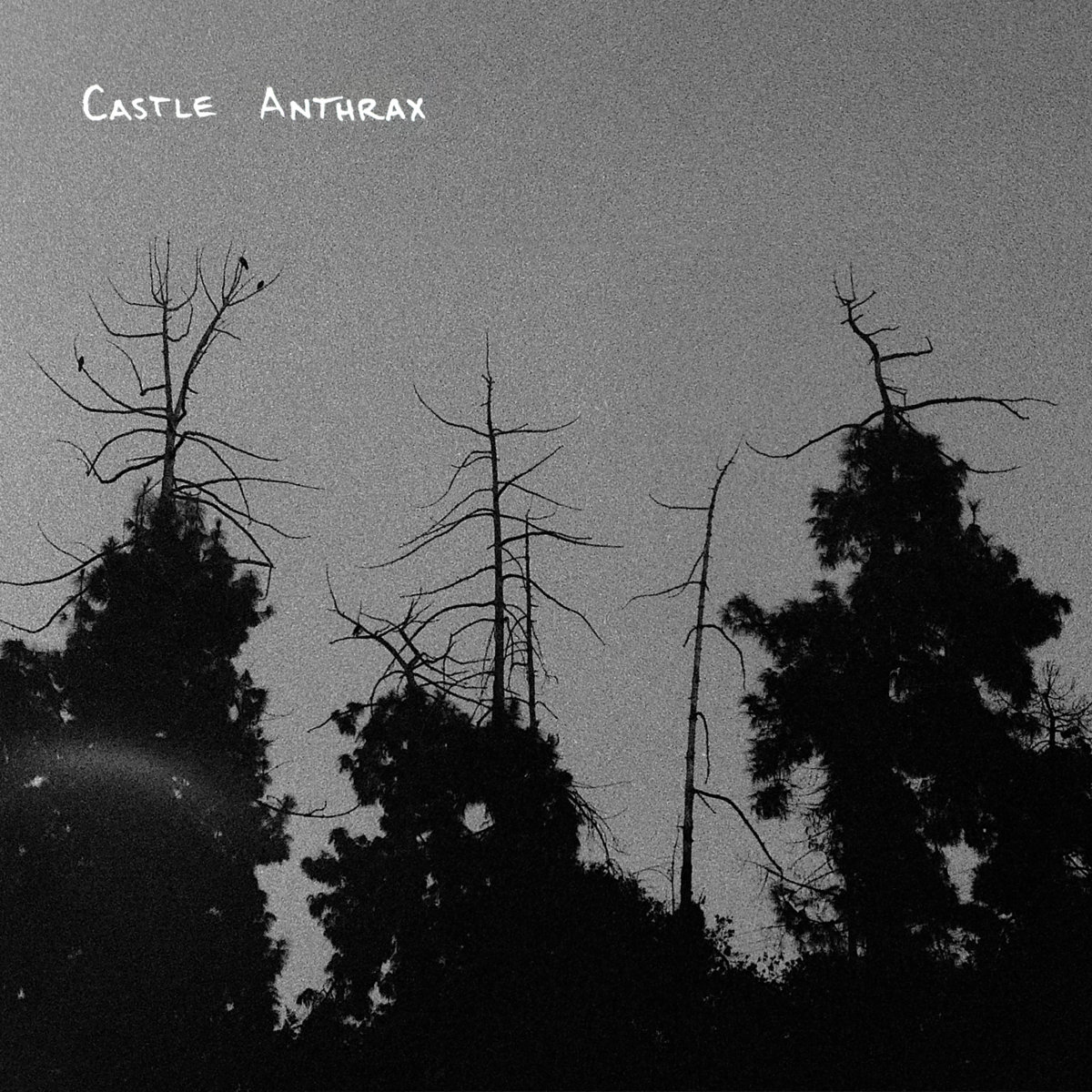 Performer – Mason Moy